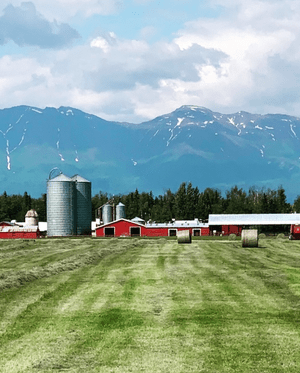 About — Hamilton Farms, Inc.