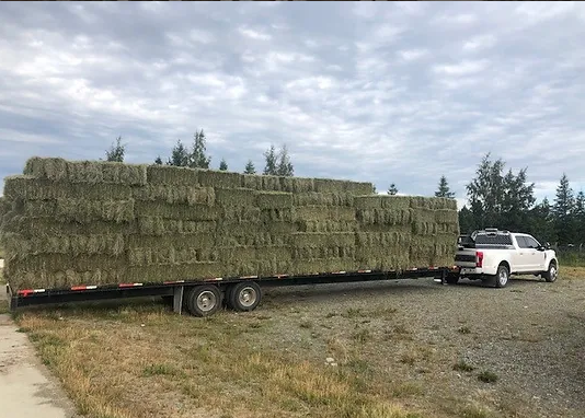 Gallery 1 — Hamilton Farms, Inc.