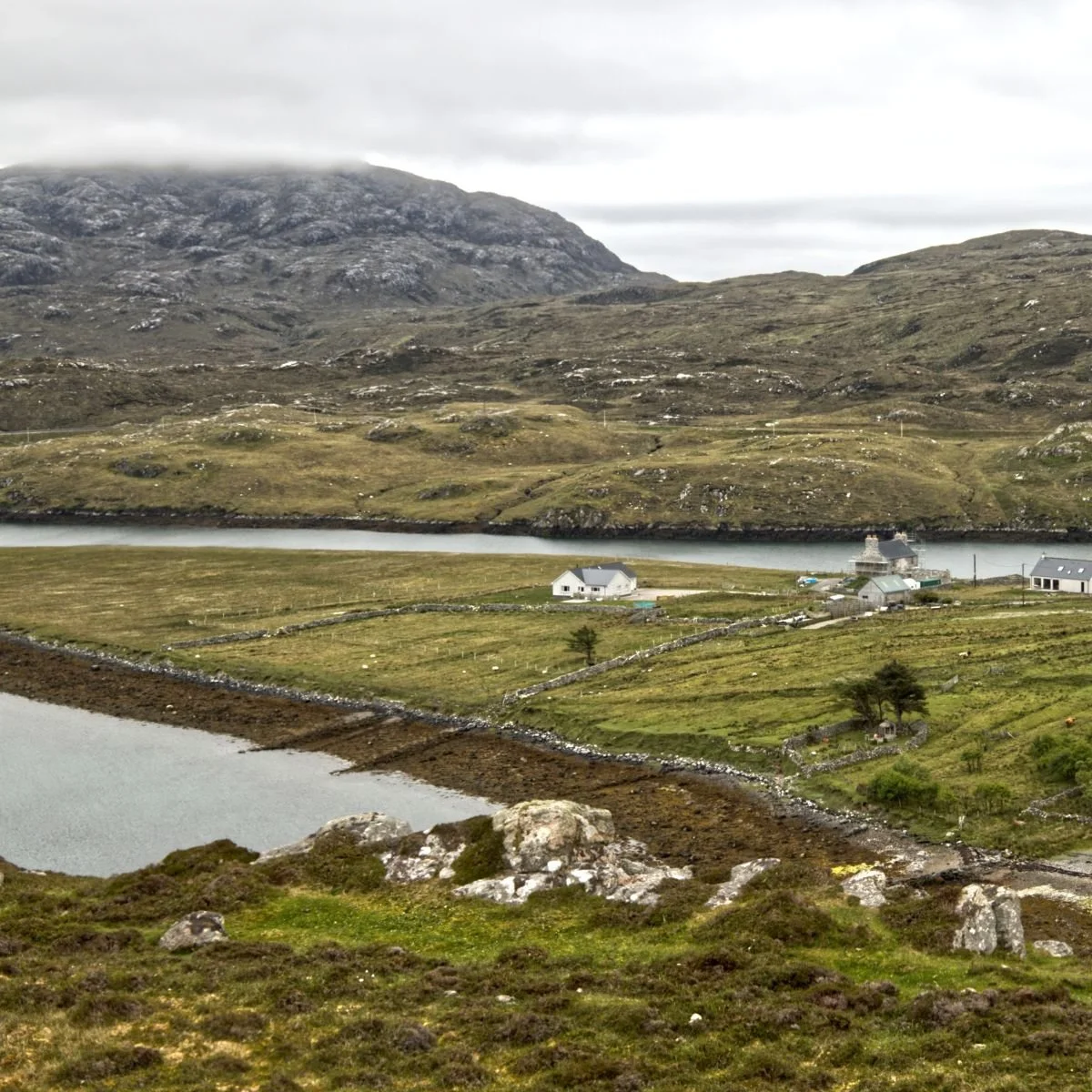 Rhizocore Leads Innovative Project to Tackle Agricultural Pollution ...