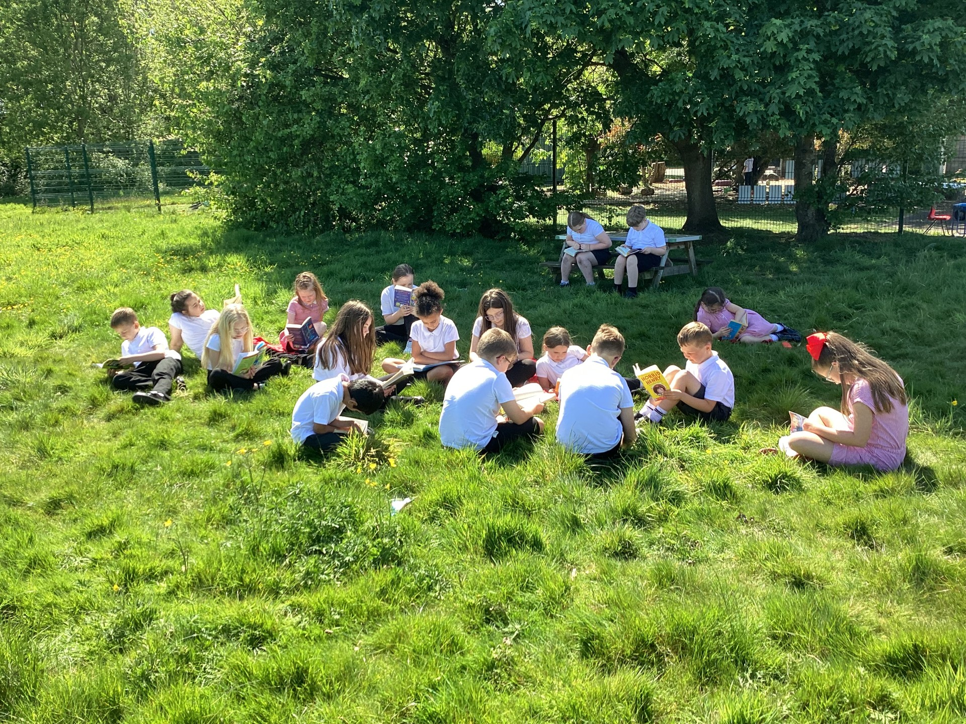Summer Reading — Peel Hall Primary