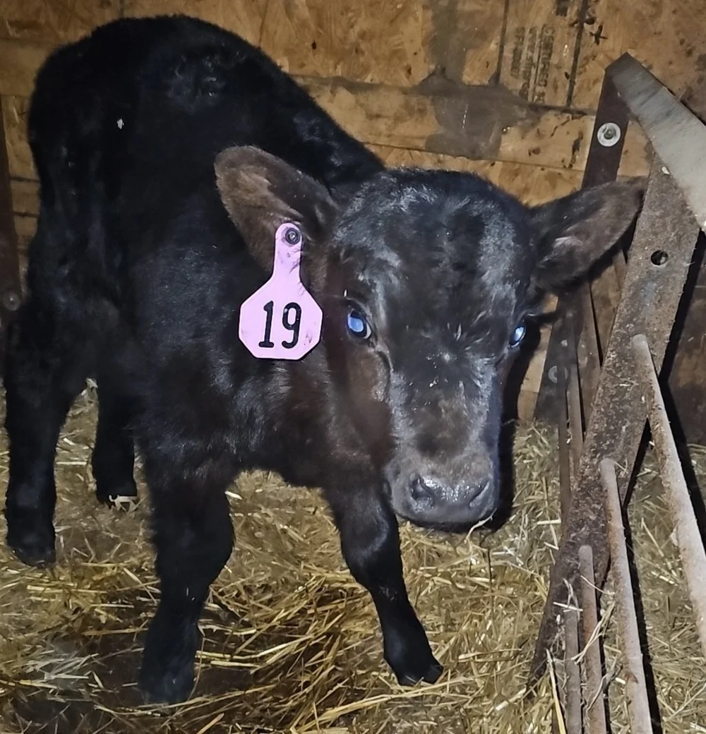 About | Family Owned & Operated — Owen's Fresh Meat Market