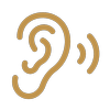 Dr. Derek Shadid — Shadid Plastic Surgery | Strata Aesthetics Studio