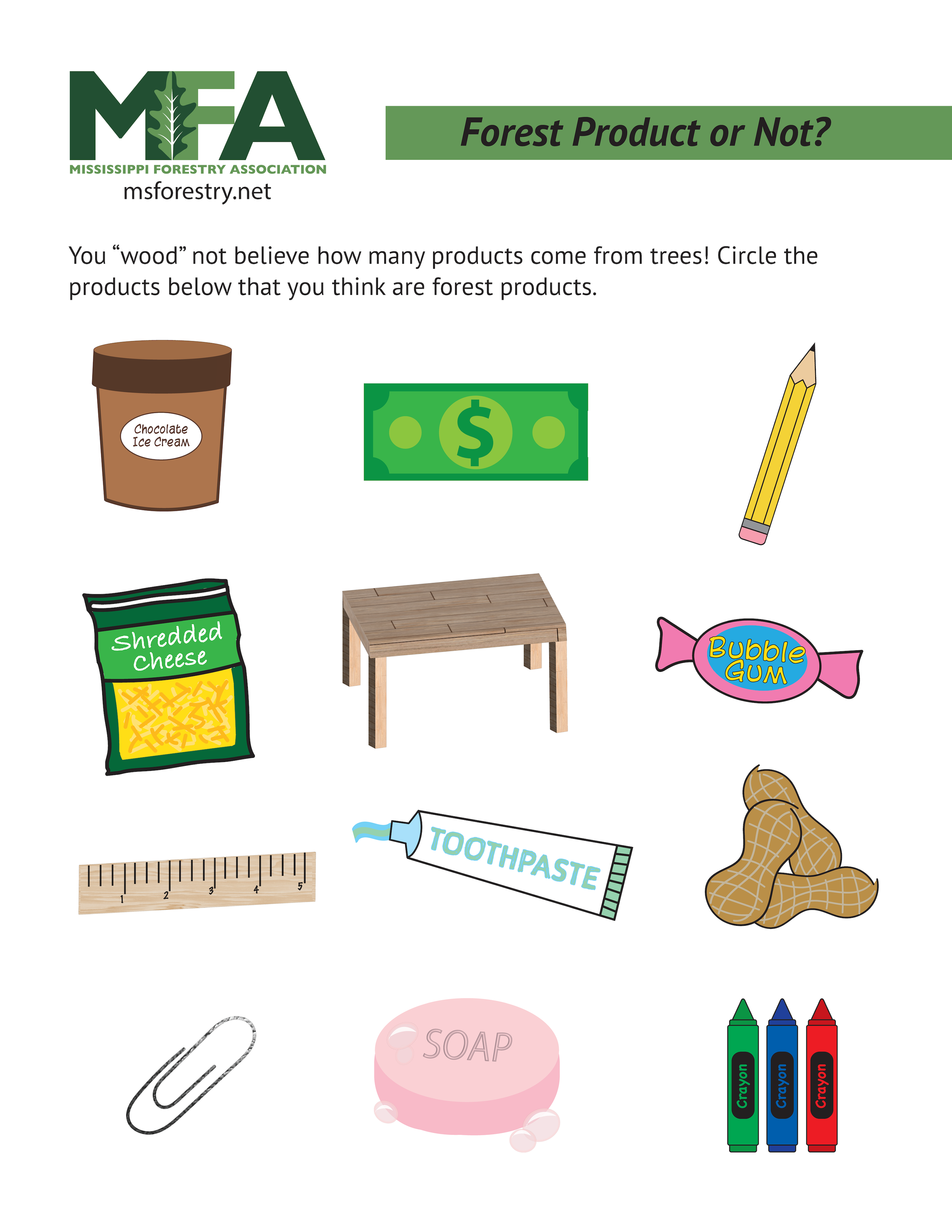 Activity Sheets — Mississippi Forestry Association