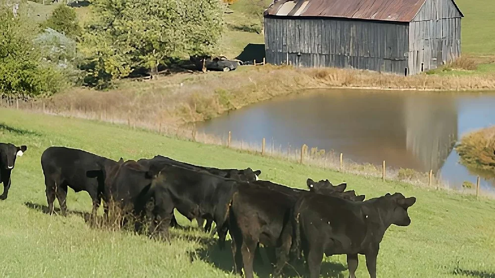Kentucky Agriculture Water Quality Plan — KY FCCD