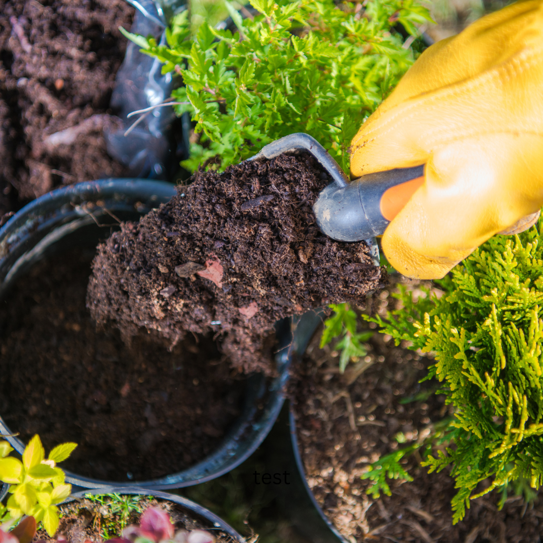 The Secret to Pristine Commercial Landscapes: Soil Health and Pruning ...