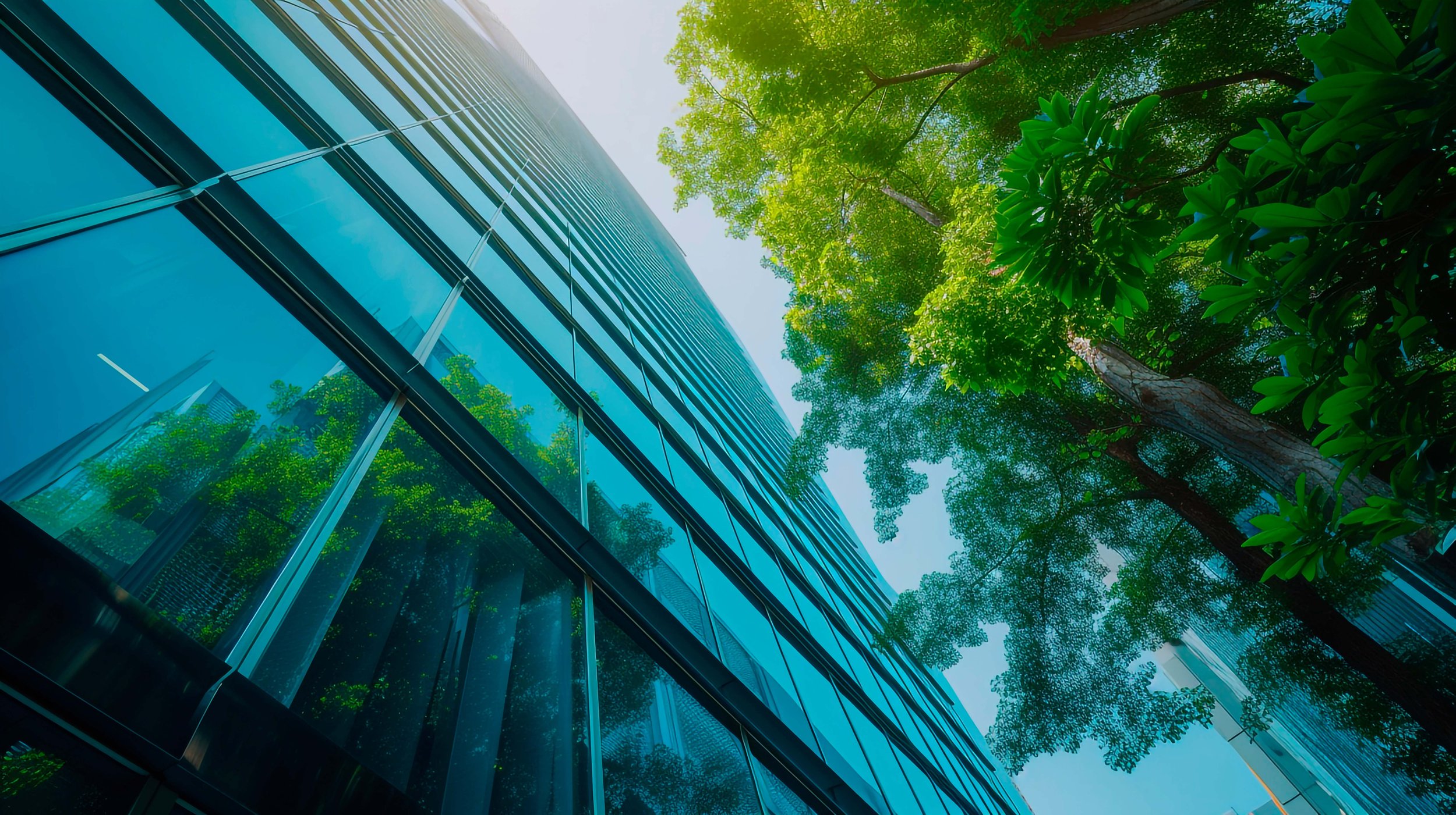 ESG SOLUTIONZ | Business Sustainability Solutions & Support