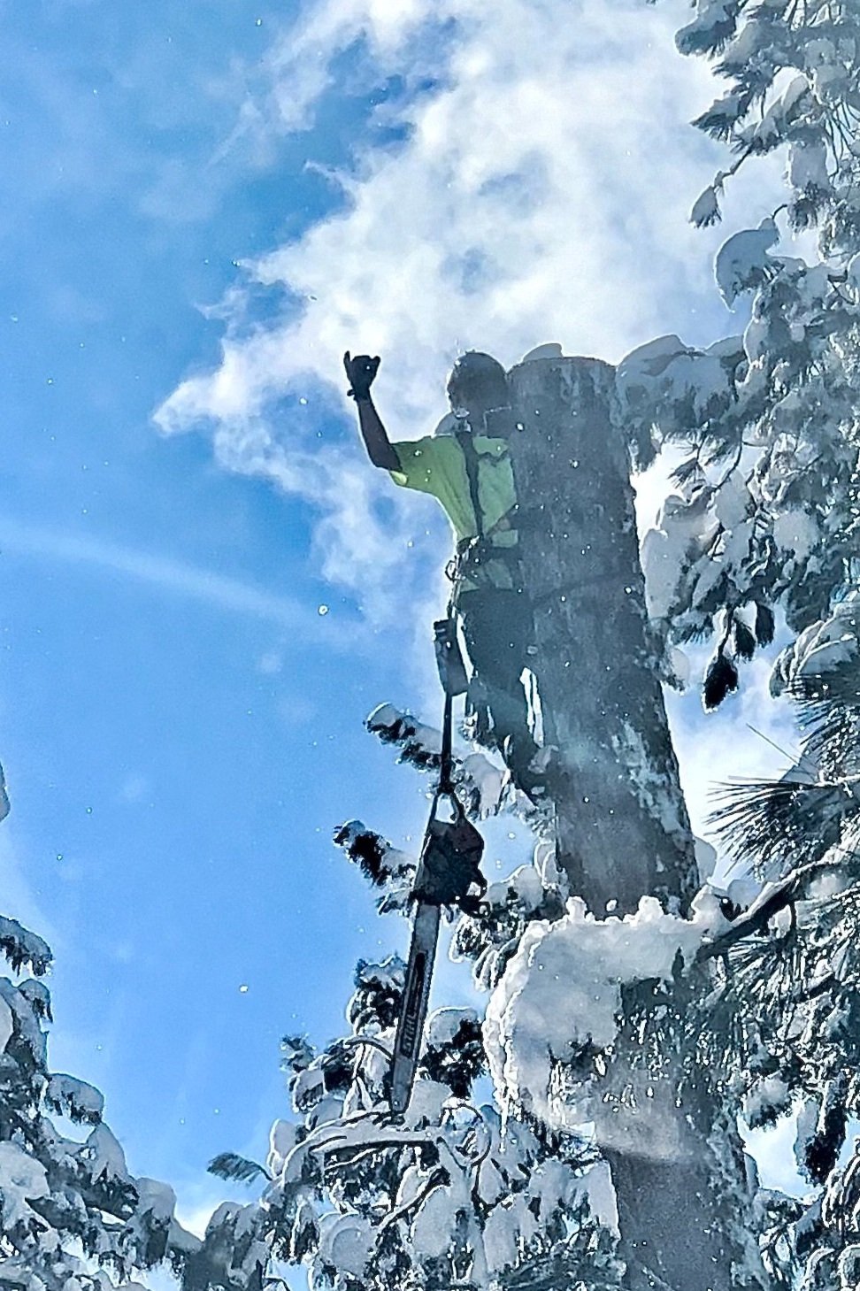 Lifted Roots Tree Service