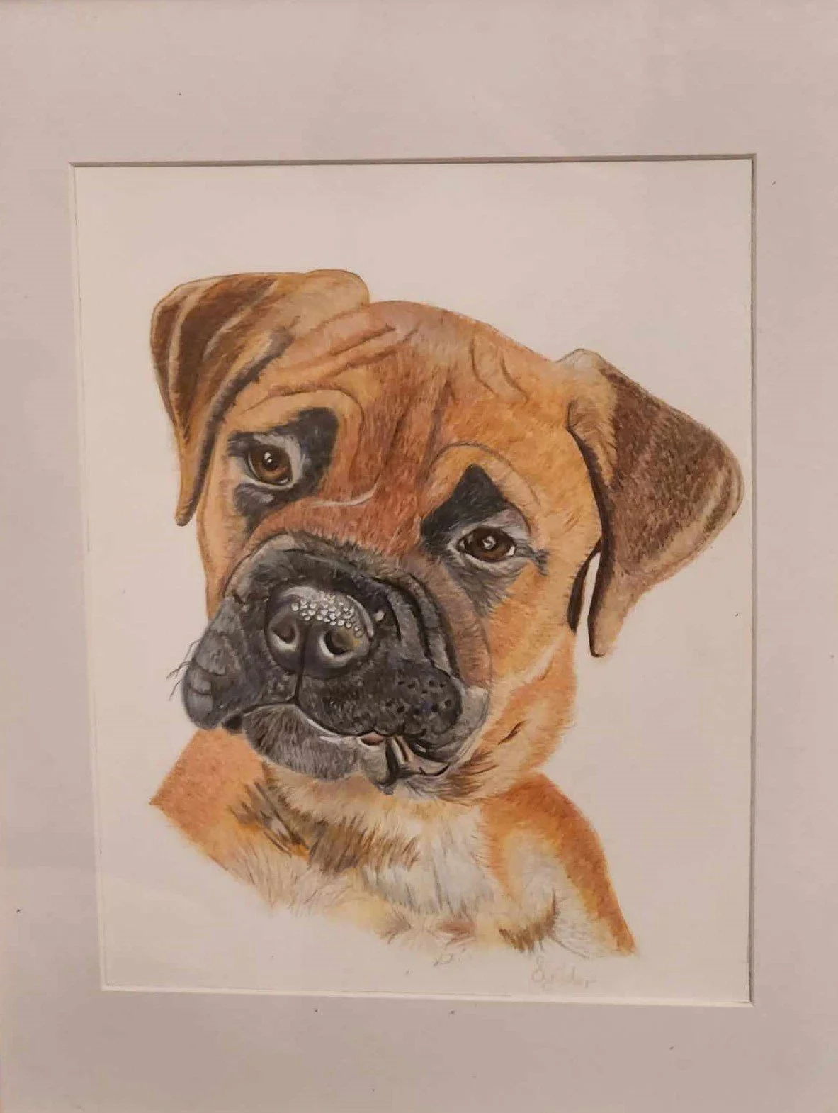 Susan Gilder : Custom pet portraits.