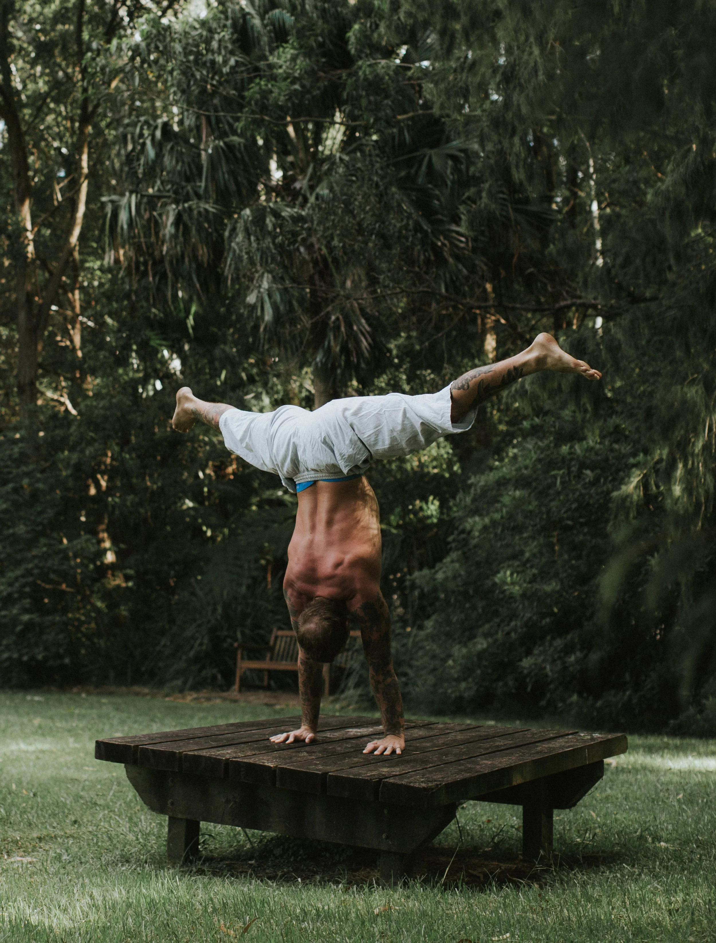 ORENDA MIND MOVEMENT