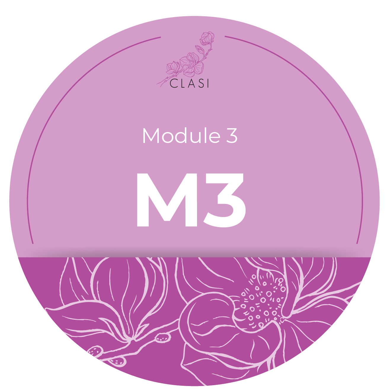 CLASI Module 3