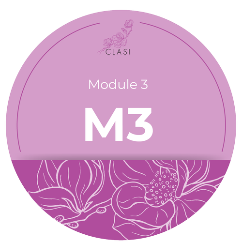 CLASI Module 3