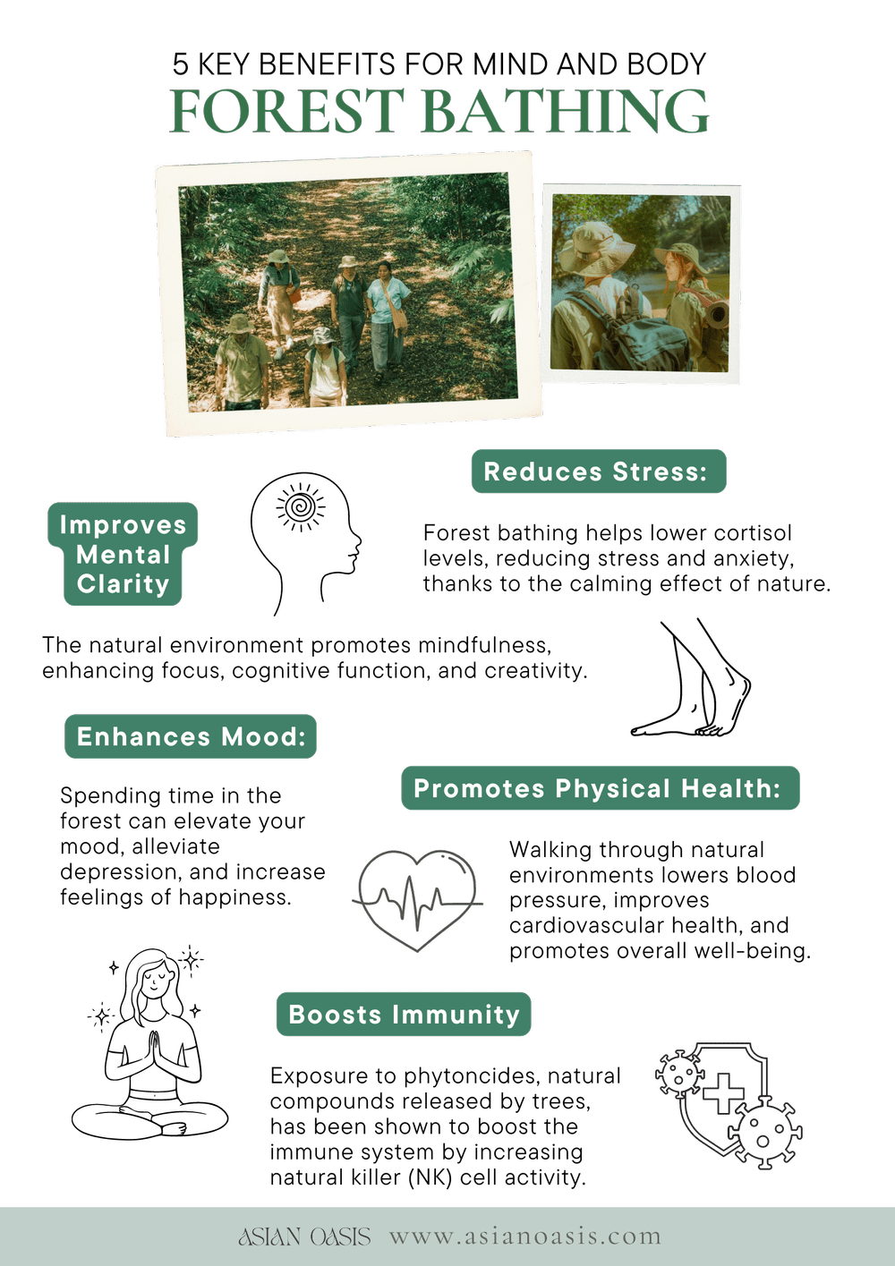 Forest Bathing in Chiang Mai — Asian Oasis