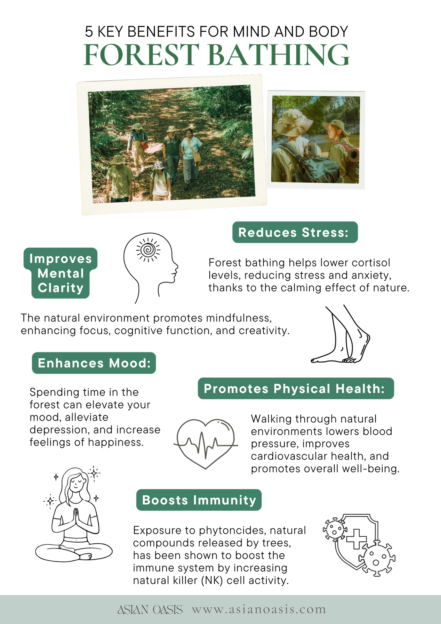 Forest Bathing in Chiang Mai — Asian Oasis