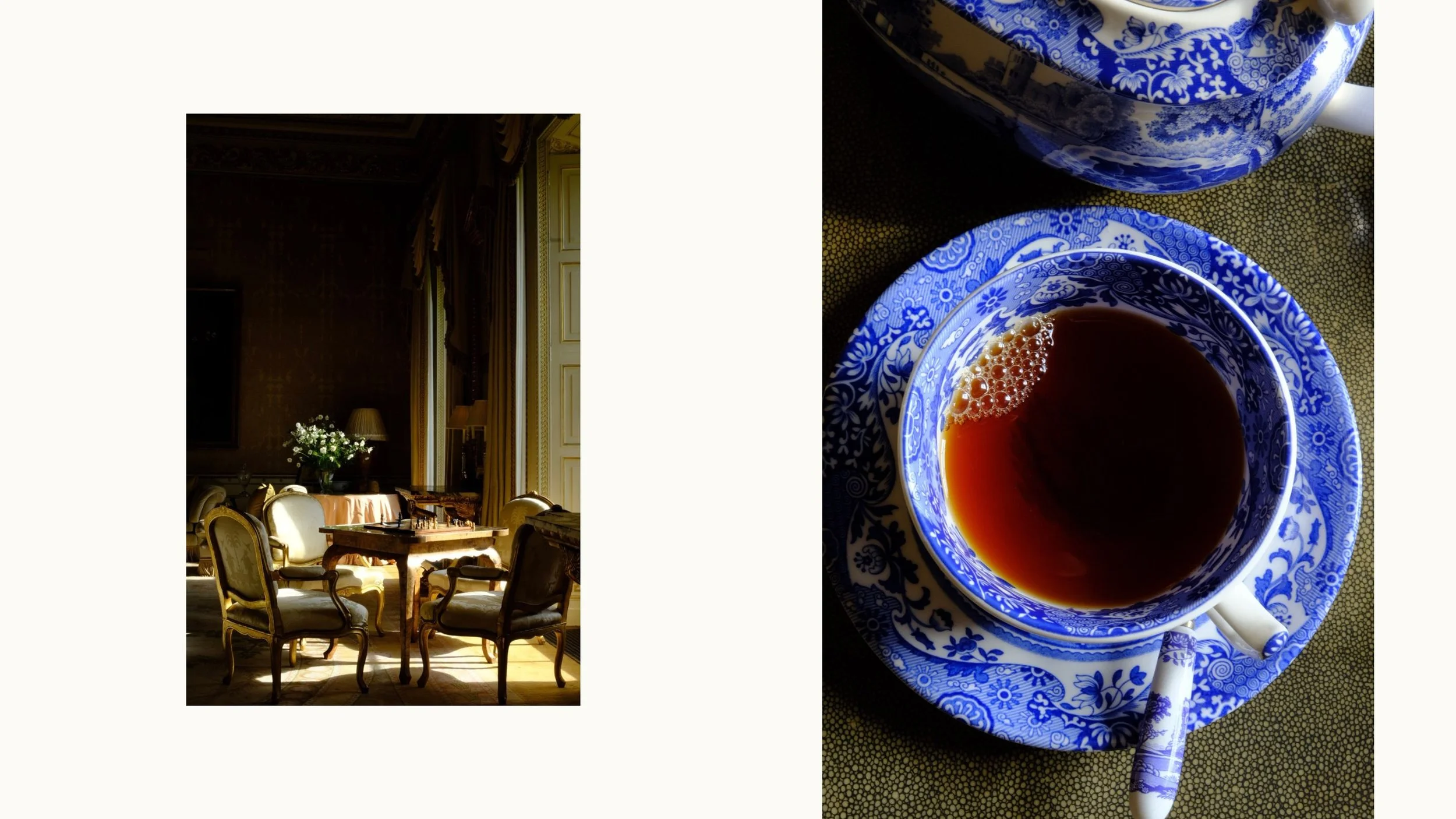 An editorial photoshoot in Ballyfin Demense, Co. Laois. — Spirit & Luxury