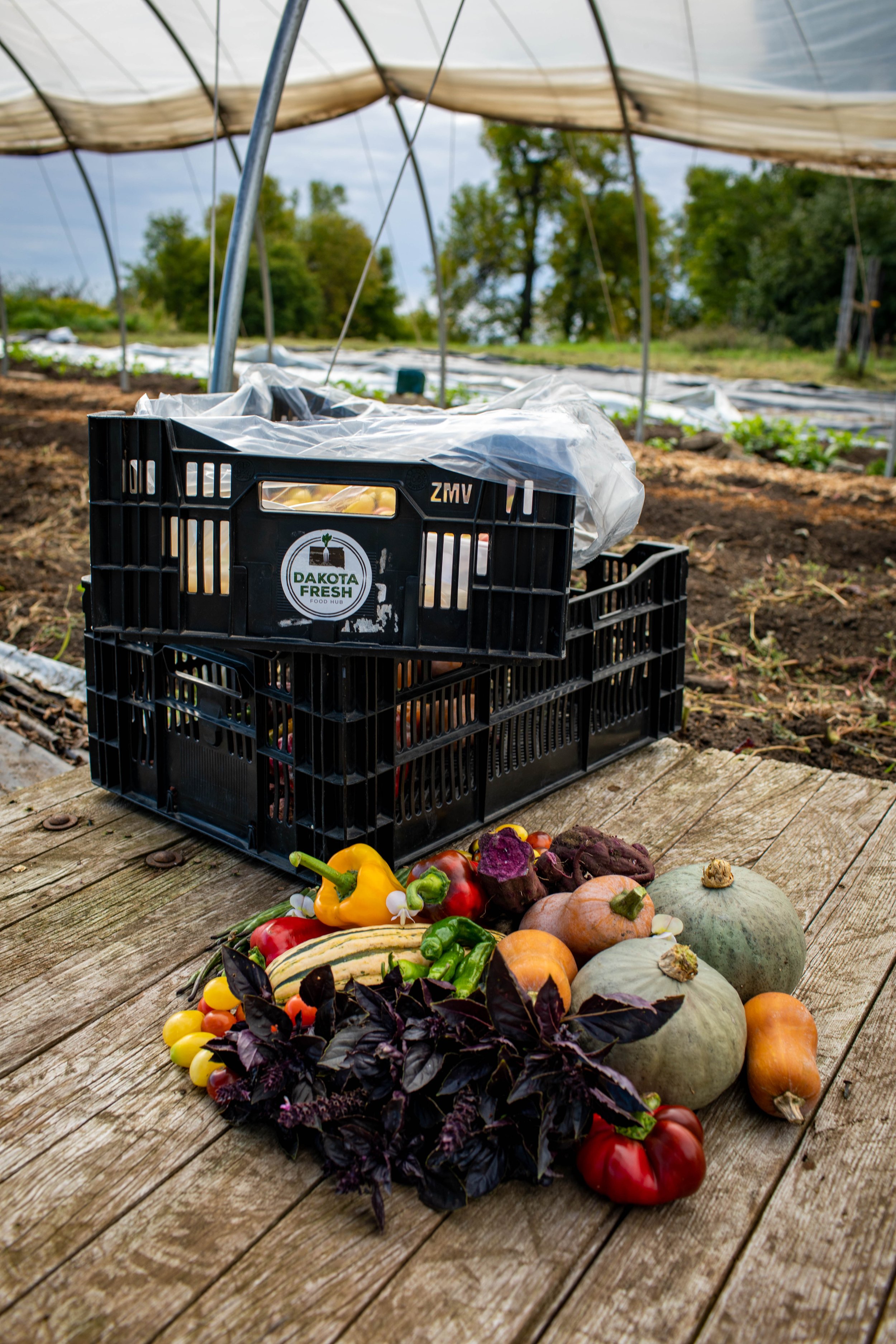 About — Dakota Fresh Food Hub