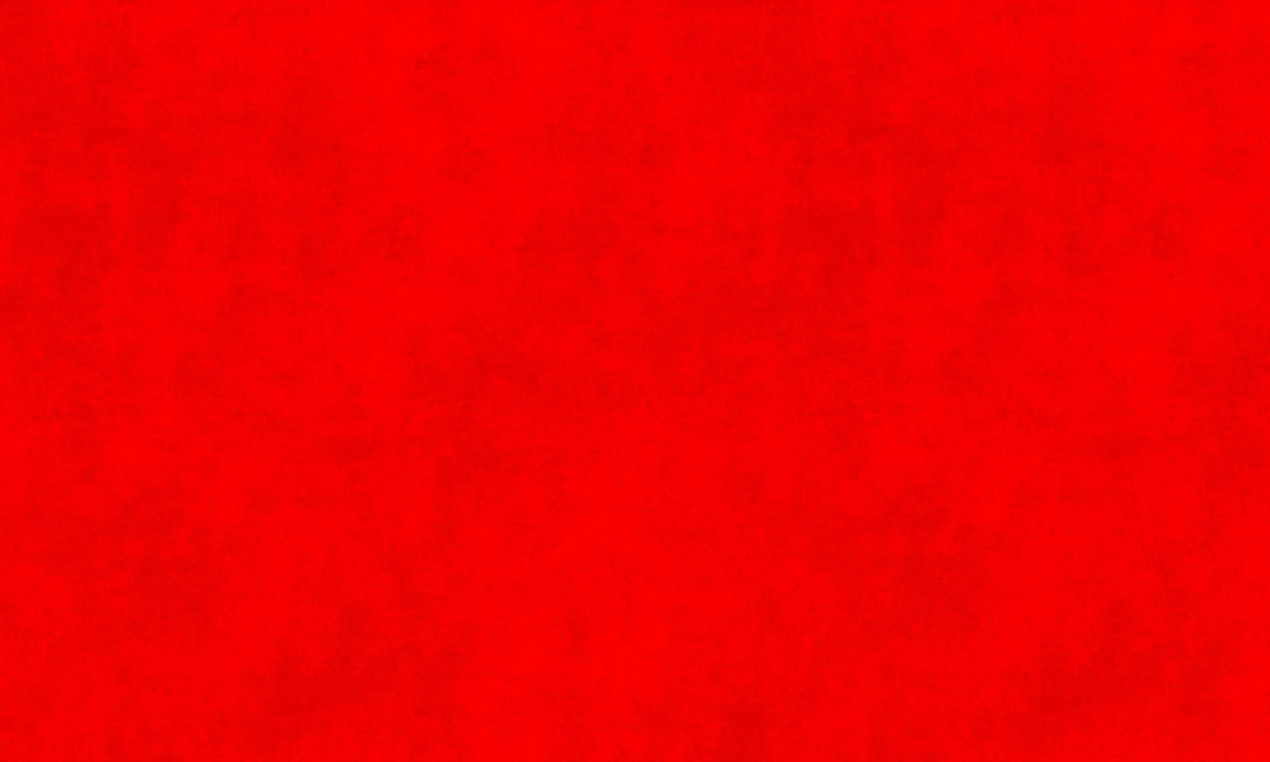 Training — Circus Dog Training