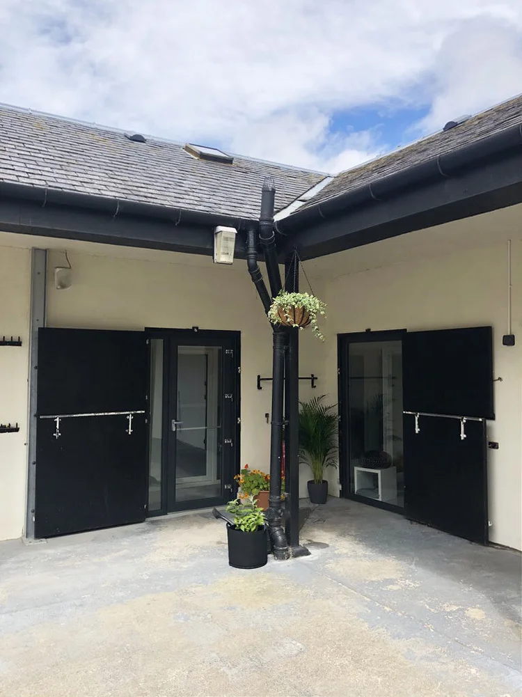 Colinton Cattery - Your Cat's Second Home