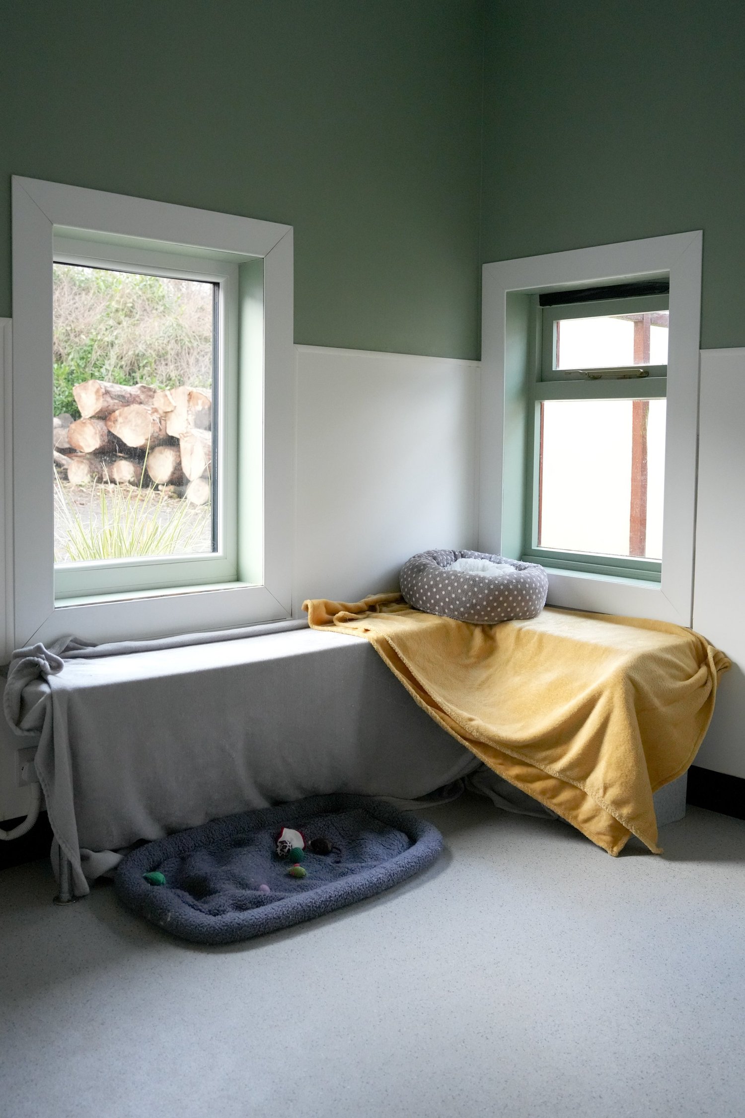 Colinton Cattery - Your Cat's Second Home