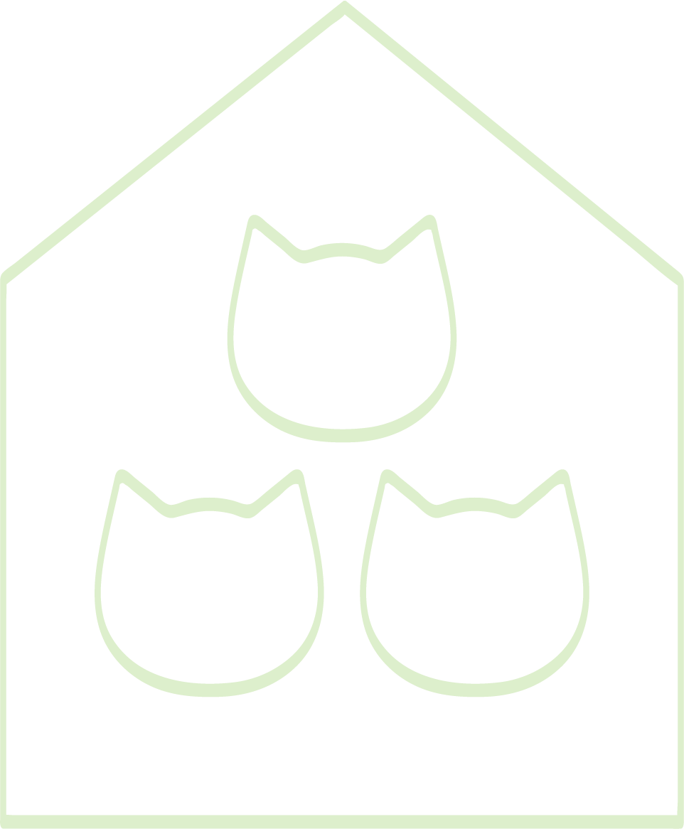 Colinton Cattery - Your Cat's Second Home