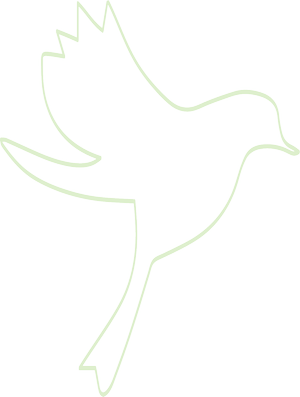 Colinton Cattery - Your Cat's Second Home