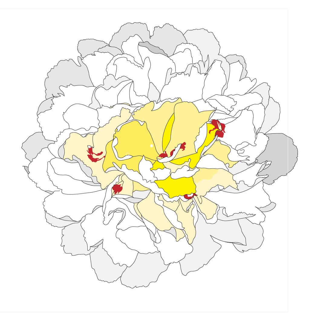 What is an Emulsion Lift Print? - Jamie Buzil Photography — Jamie Buzil ...