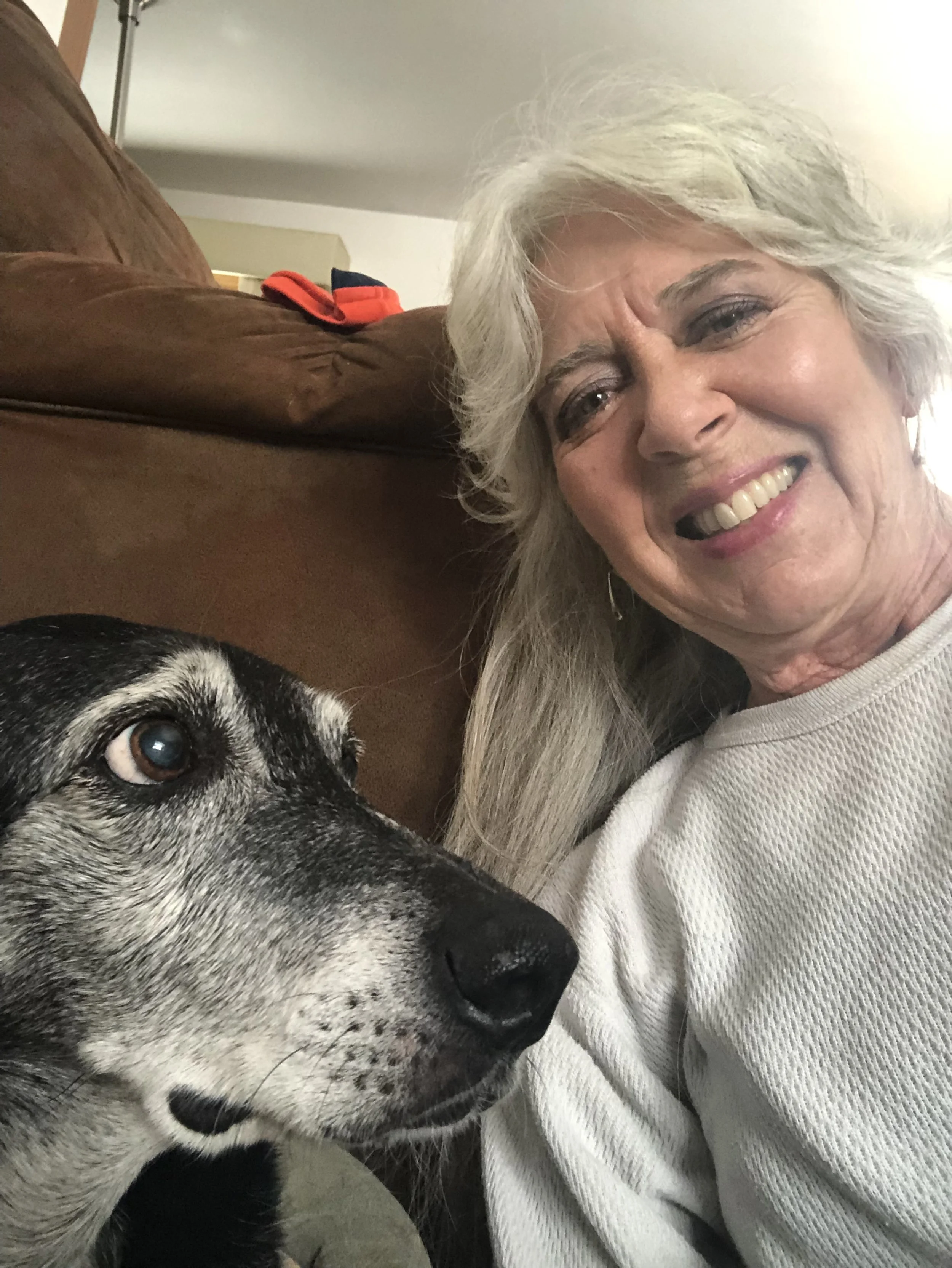 Team — Boulder County Lost Pet Rescues