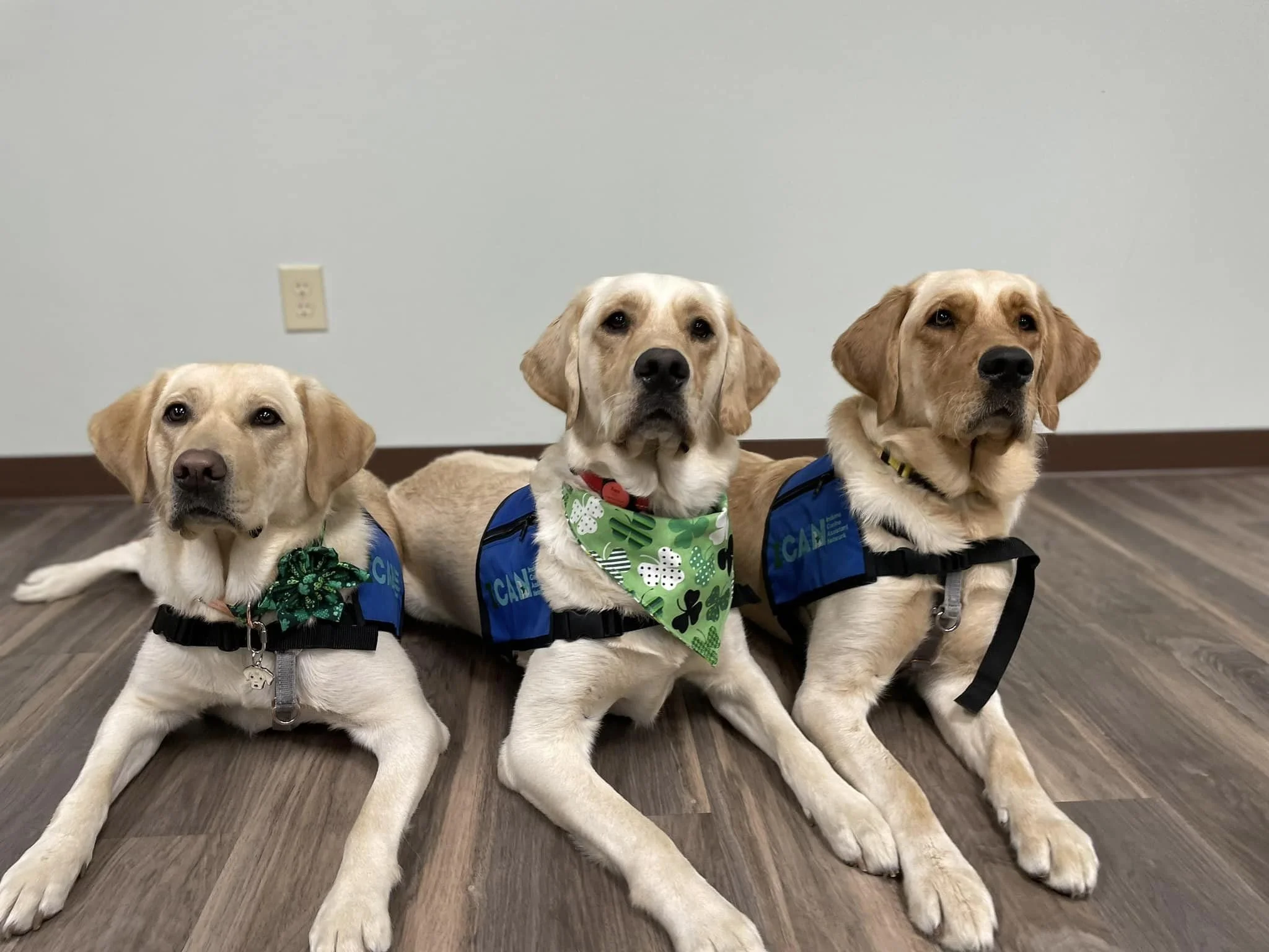 Facility Dogs — ICAN