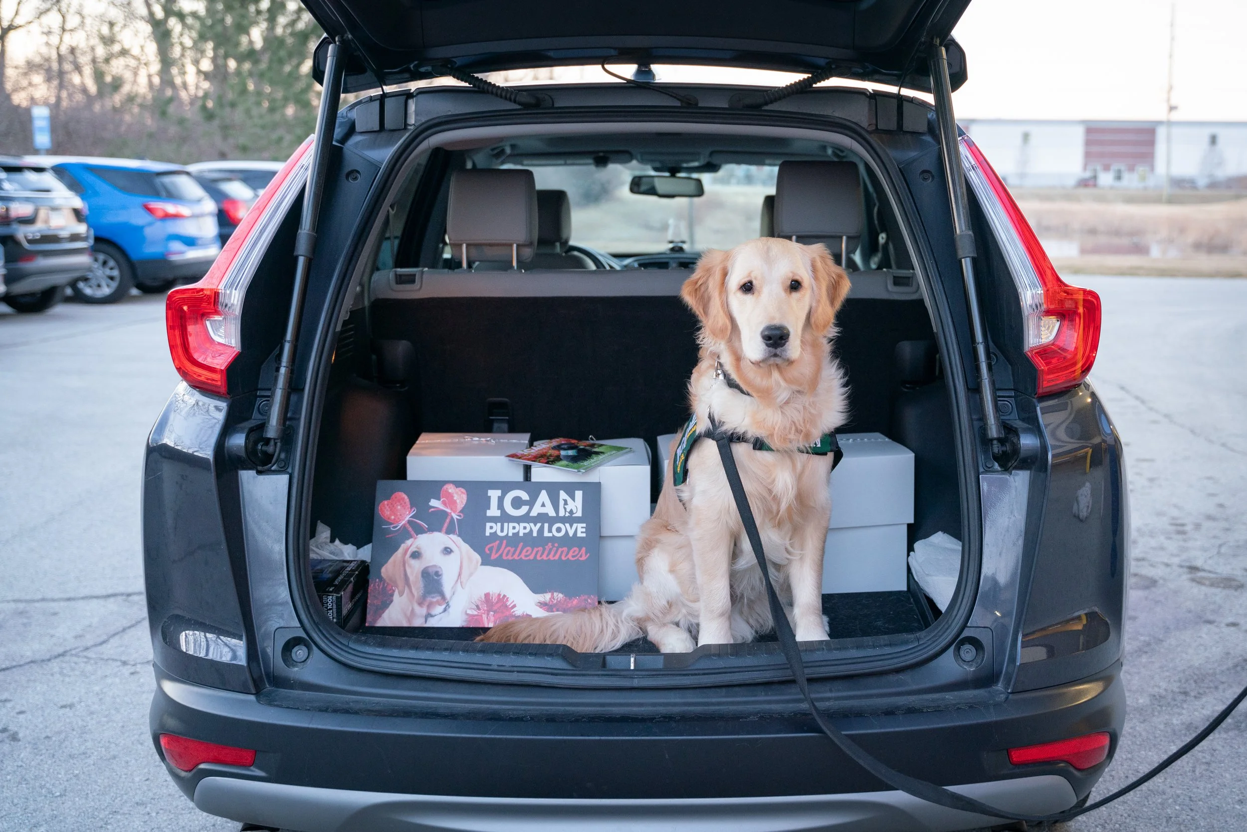 Our Story — ICAN