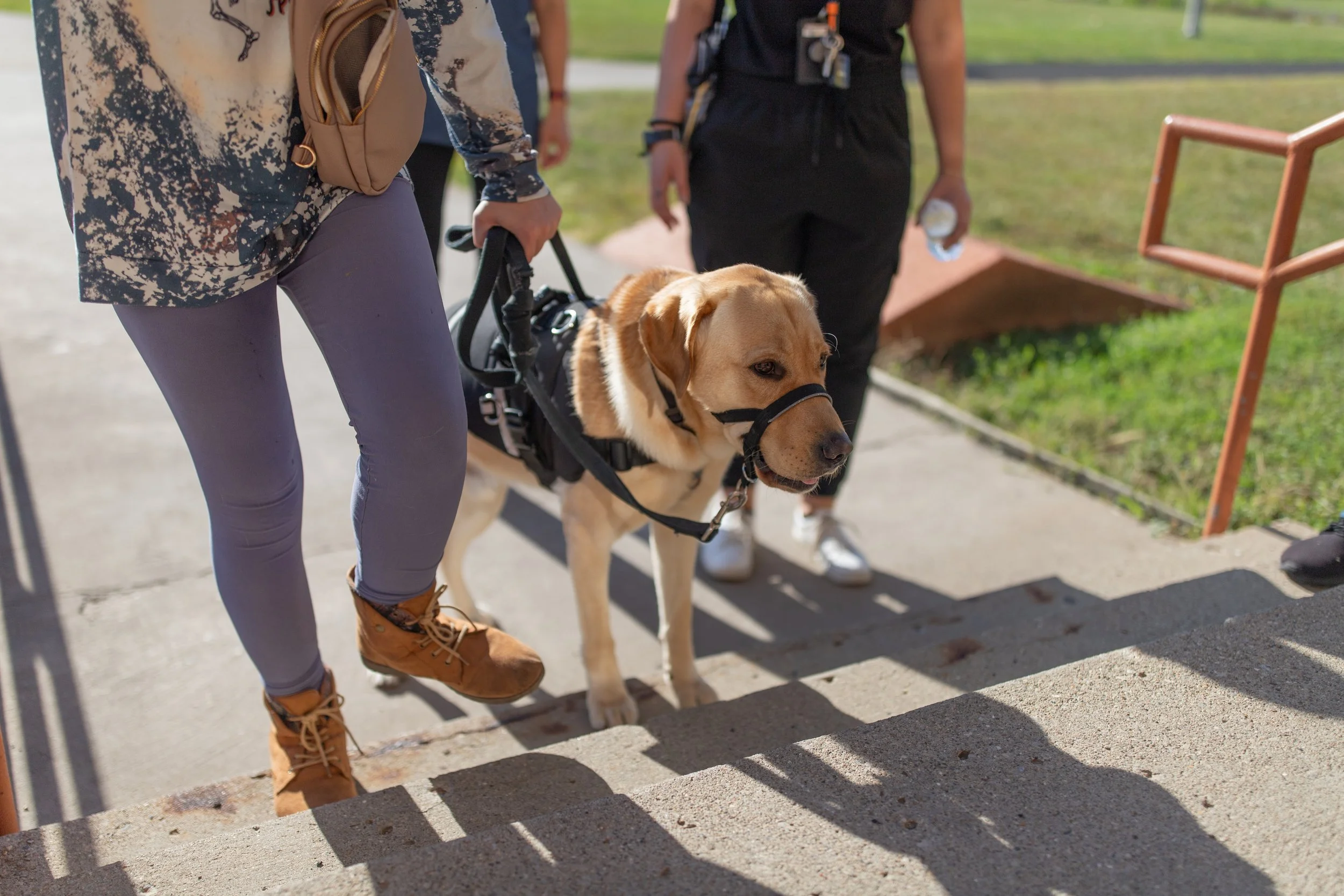 Mobility Assistance — ICAN