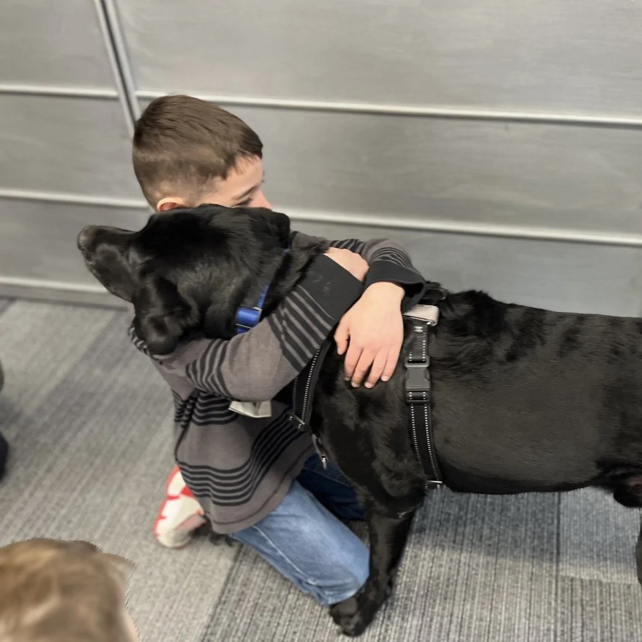 Service Dogs — ICAN