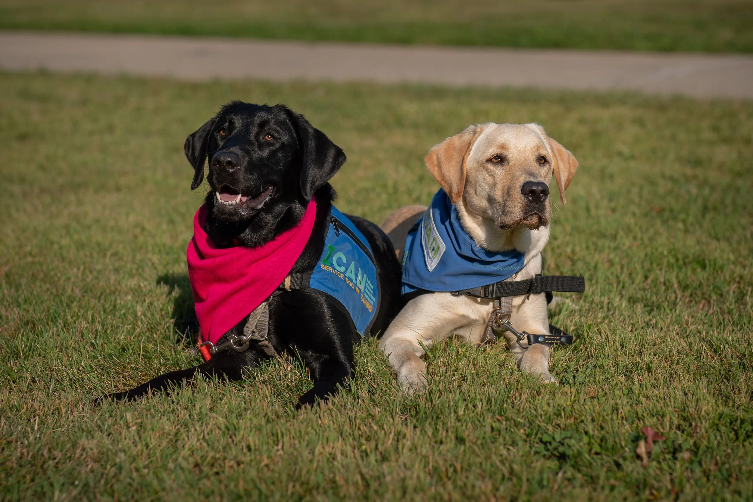 Mobility Assistance — ICAN