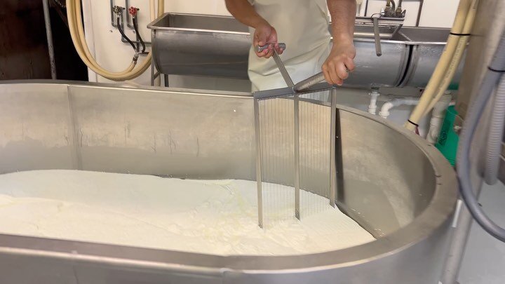 Hidden Springs Creamery | Premium Sheep Milk Products | Cheese & Soap ...