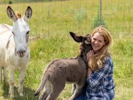 Hidden Springs Creamery | Premium Sheep Milk Products | Cheese & Soap ...