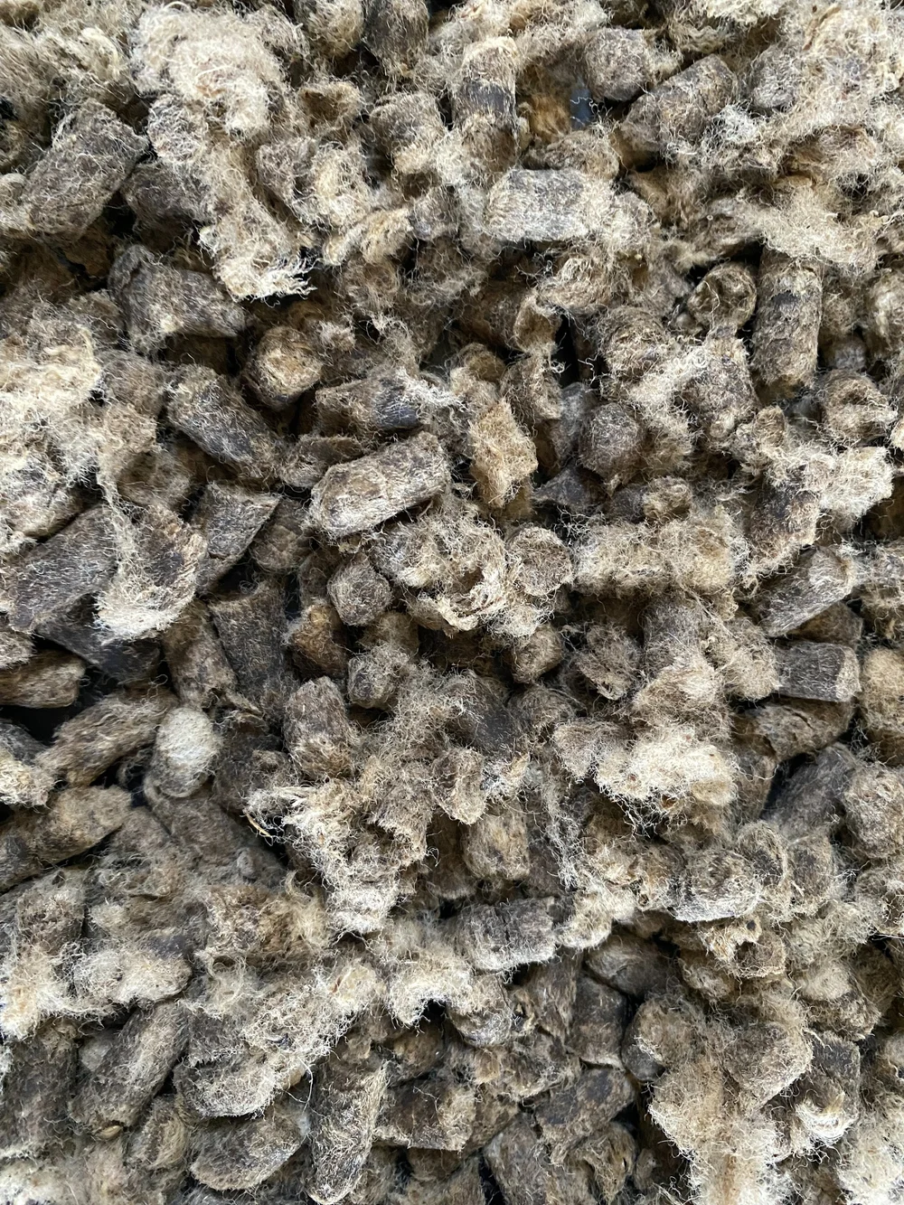 Wool Pellets for every plant, All natural, peat free, fertilizer and ...