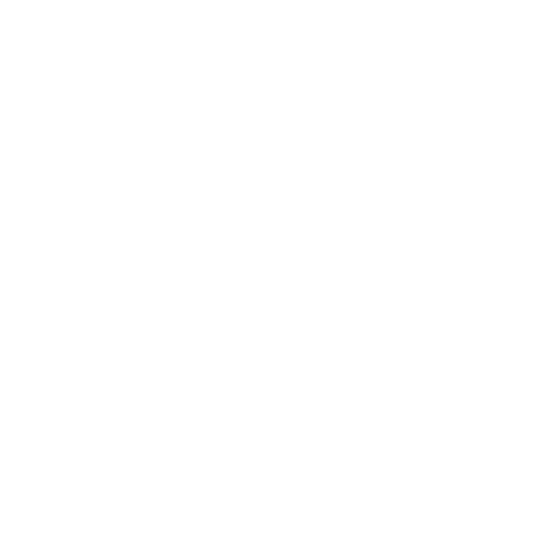 About Summit Strategy Group — Summit Strategy Group LLC