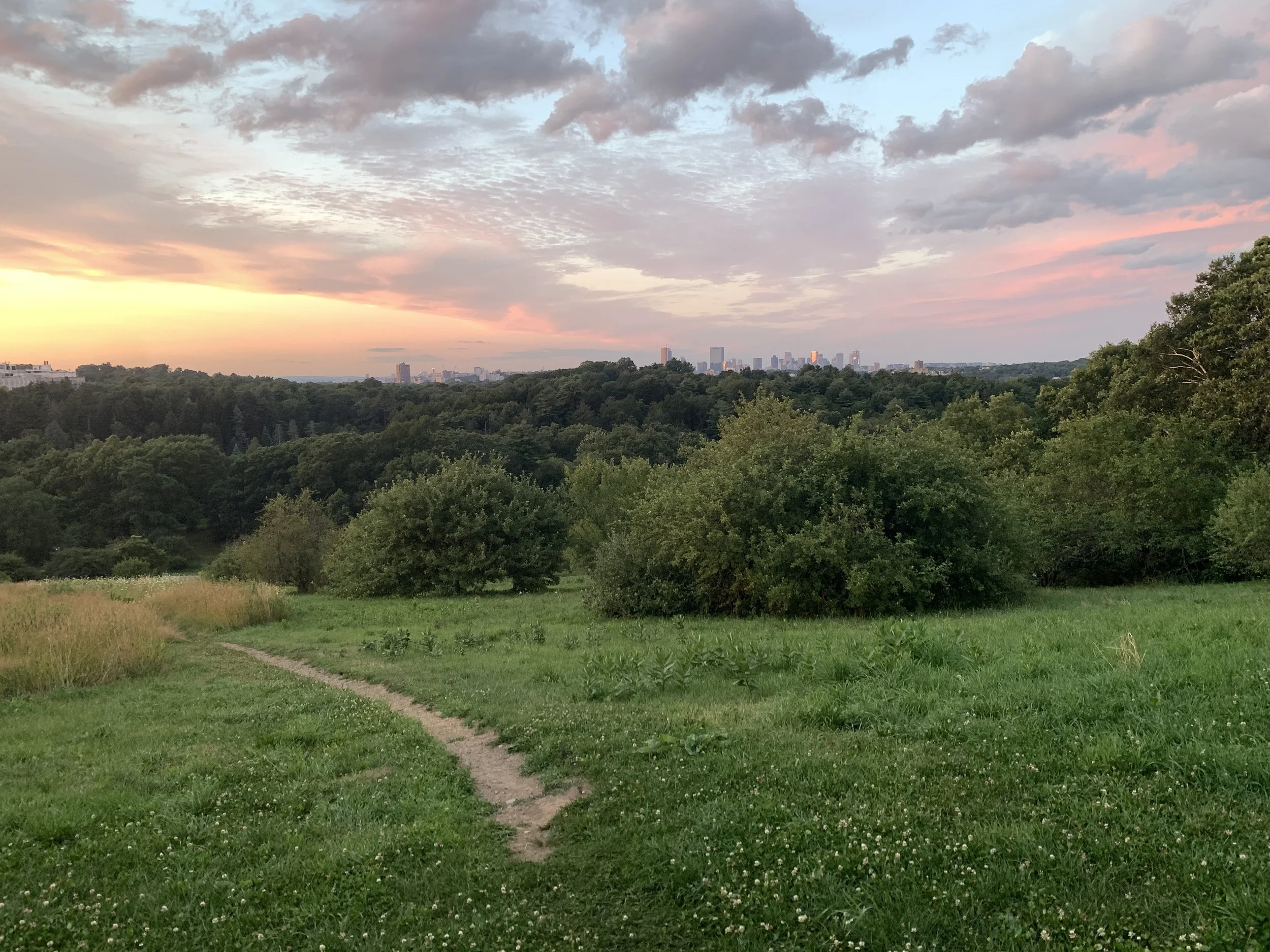 Walking City Trails
