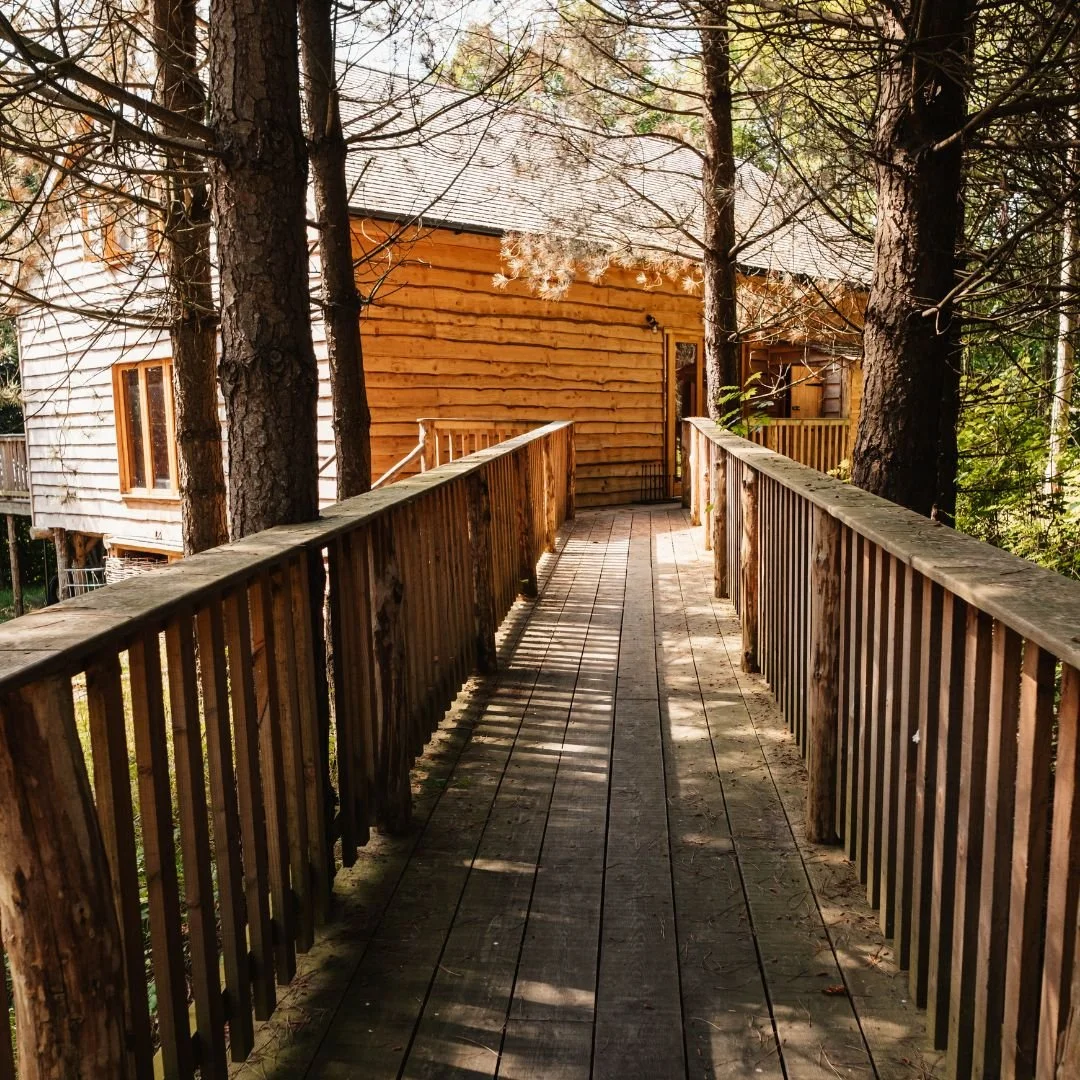 Treehouses | Escape to Nature — Brook House Woods