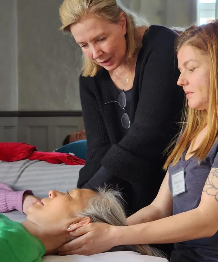 NevroAffectiv Touch – Terapi for tilknytningstraumer og emosjonell ...