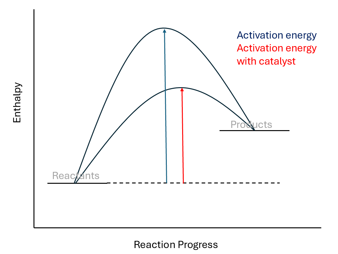 AQA - AS level Chemistry Kinetics Notes — Revise Chemistry