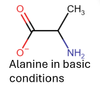 AQA A Level Amino Acids, Proteins, and DNA Notes — Revise Chemistry