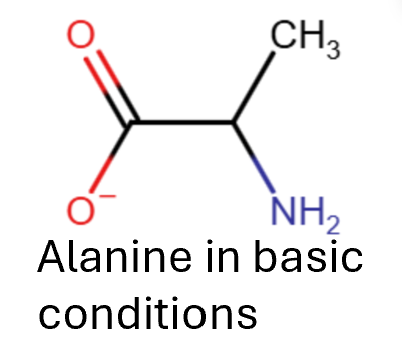 AQA A Level Amino Acids, Proteins, and DNA Notes — Revise Chemistry