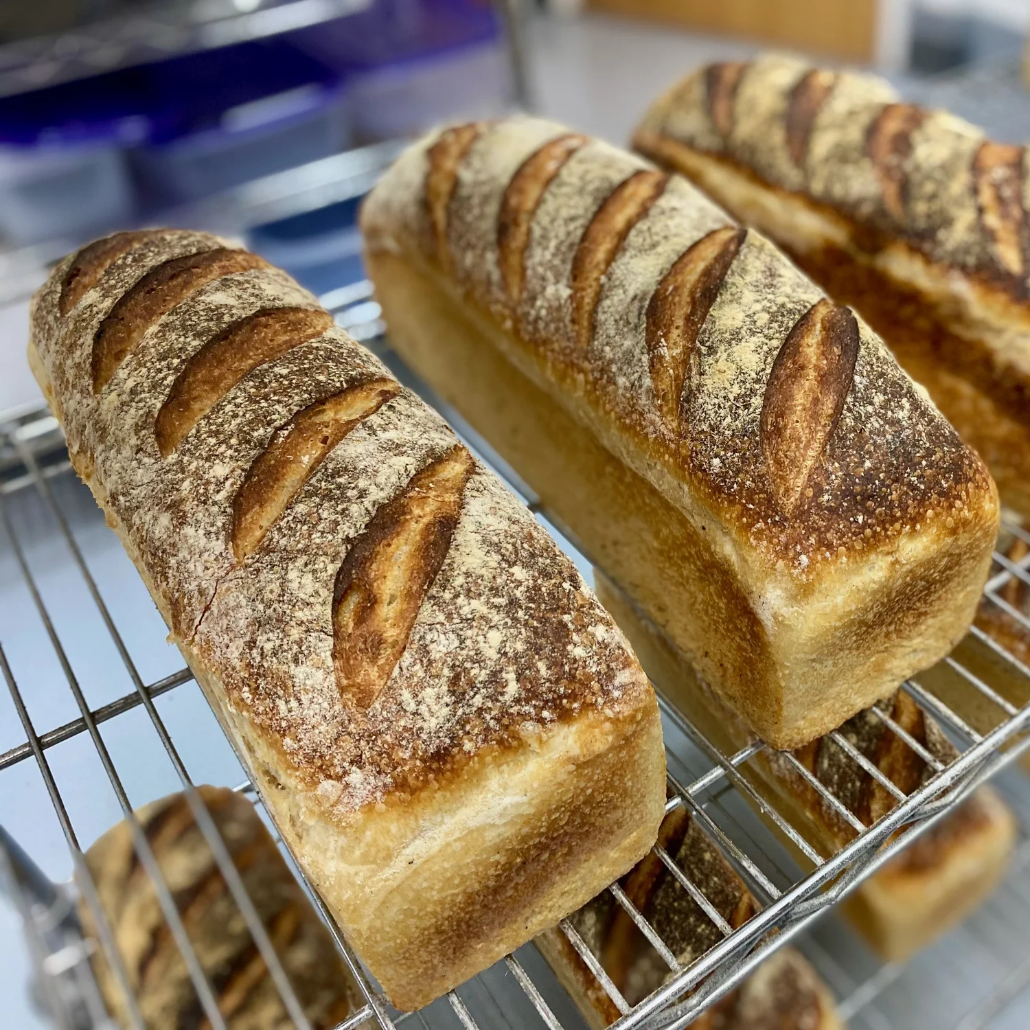 The Nasty Nine: Ingredients to Avoid in Commercial Bread — The Baker and the Cakemaker