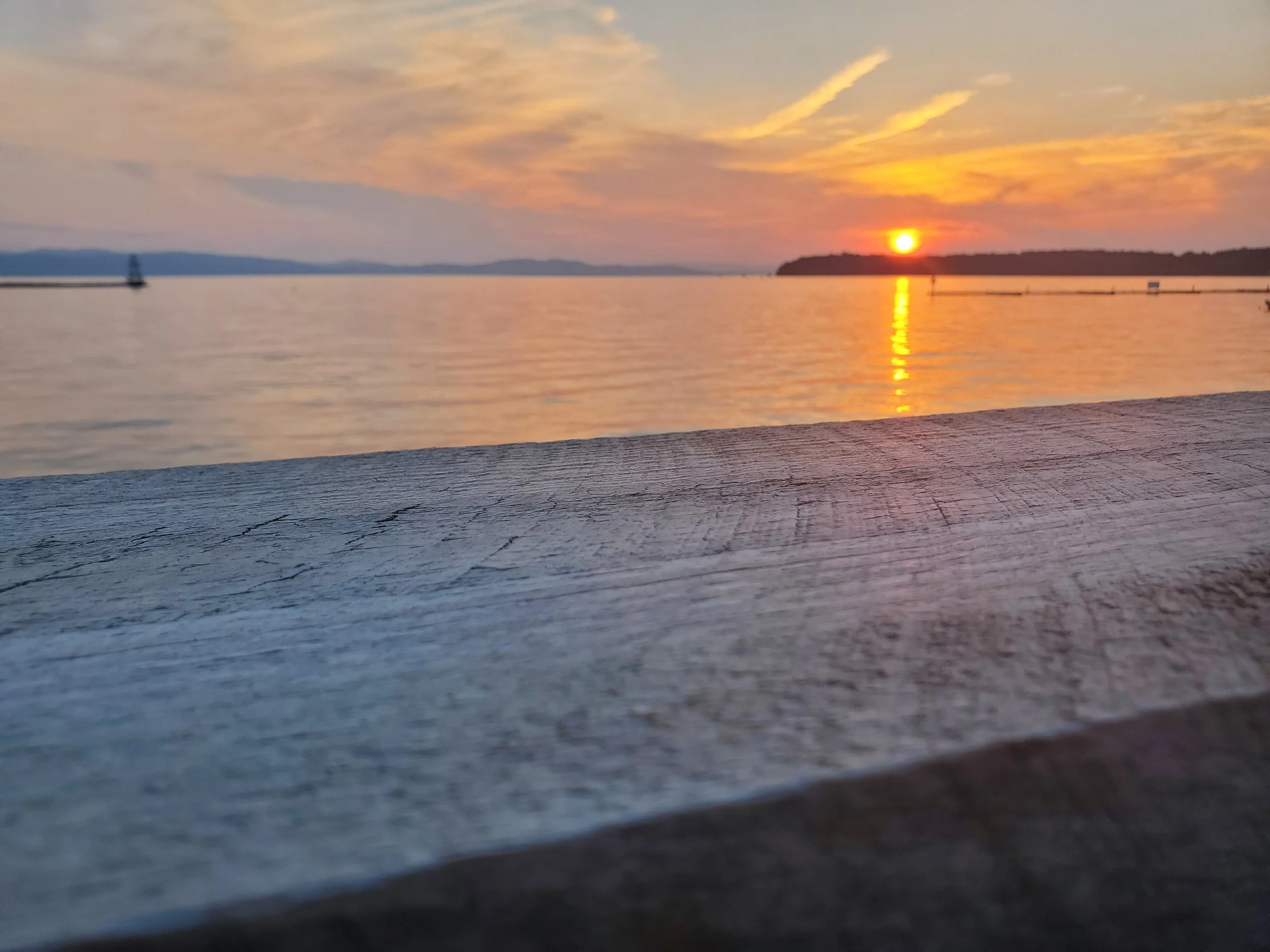 Anthony Sheppard — Your Body Works LLC