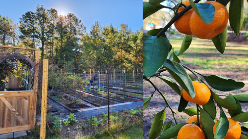 Our Story — Green Harvest Gardens