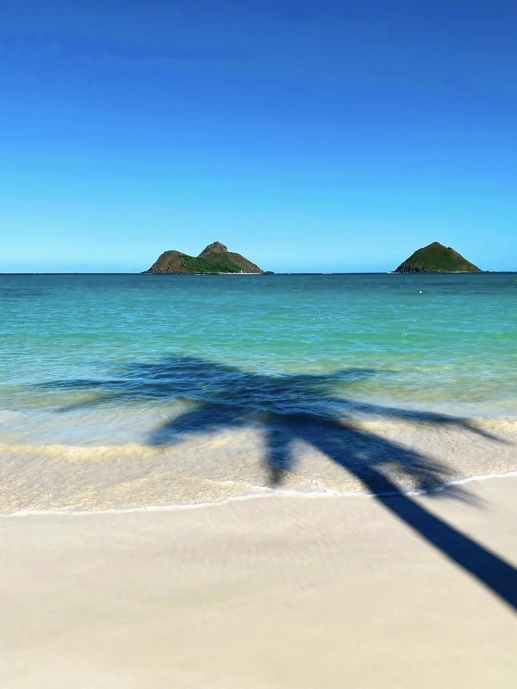 O’ahu — Callie Solberg