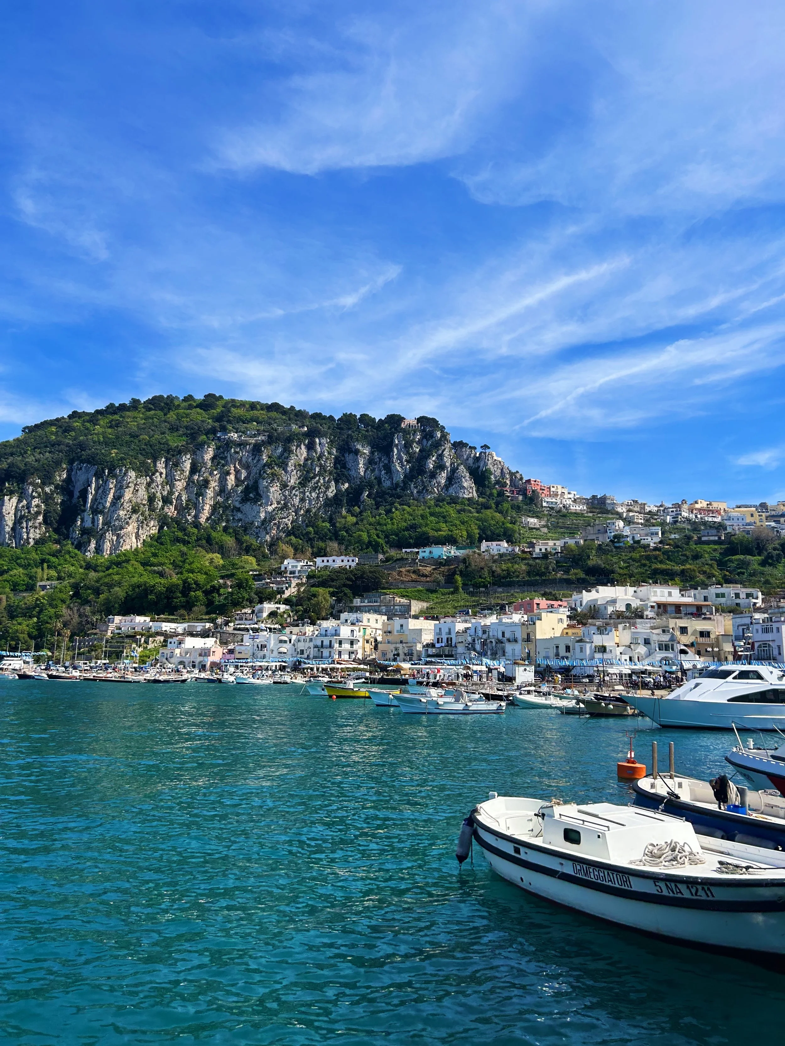 Portfolio — Callie Solberg