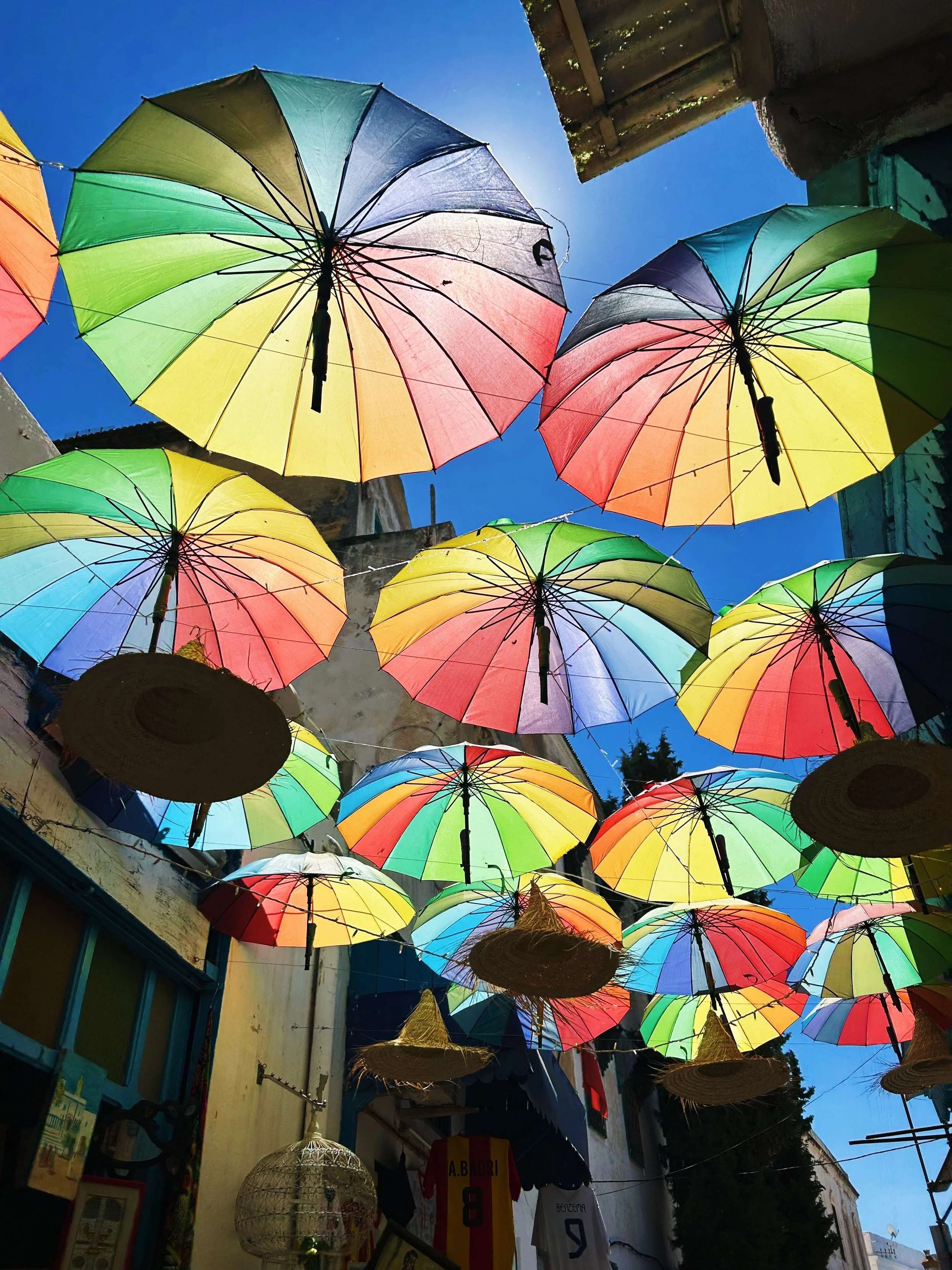 Portfolio — Callie Solberg