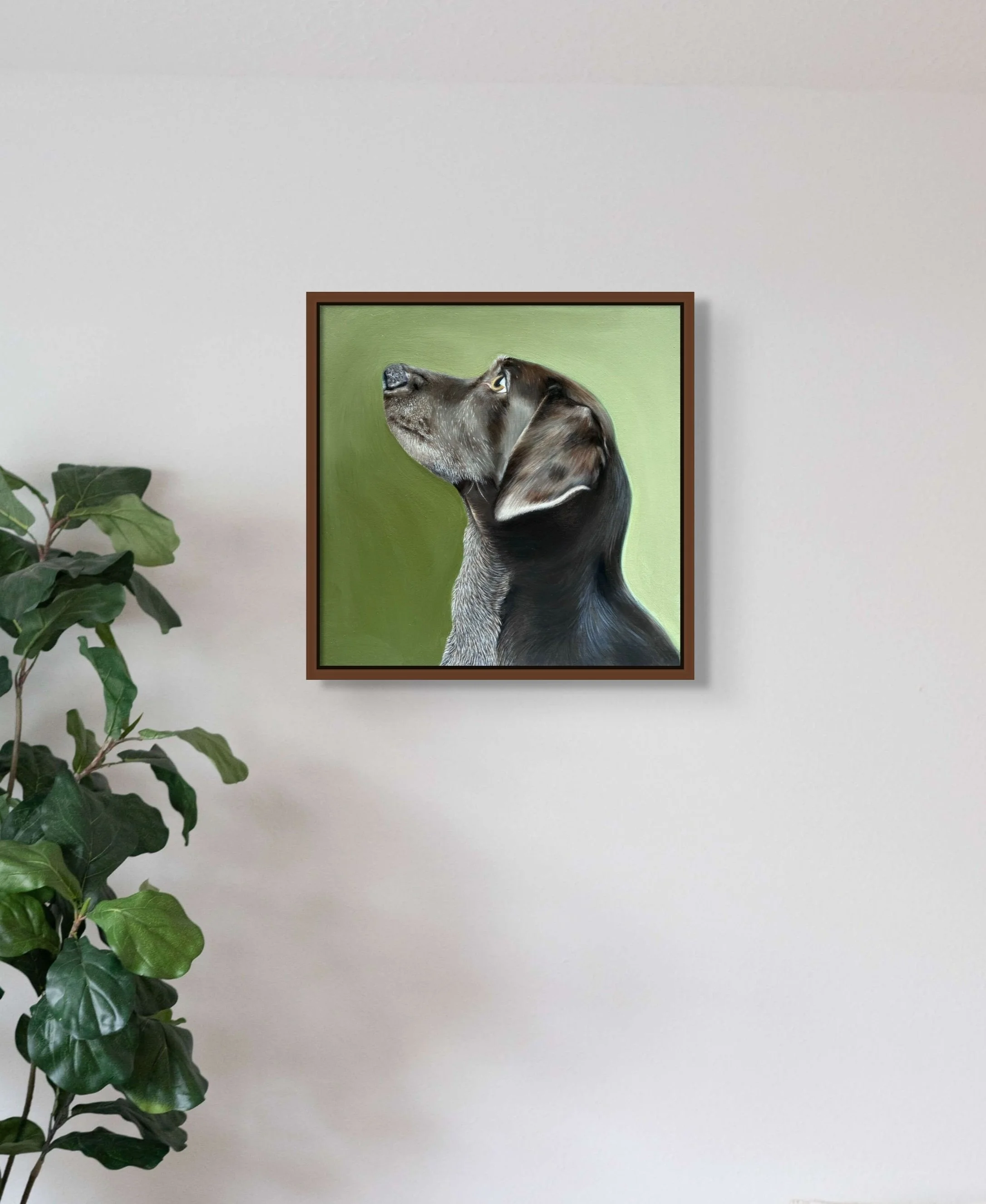 ENDEAR PORTRAITURE | PET PORTRAITS | TASMANIA