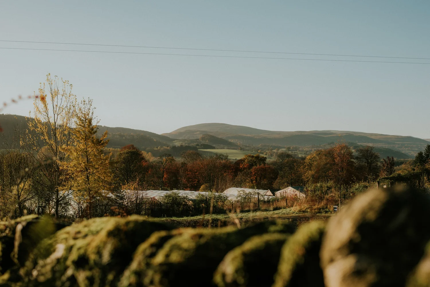 Comrie Croft | A Farm Reimagined for You and Nature