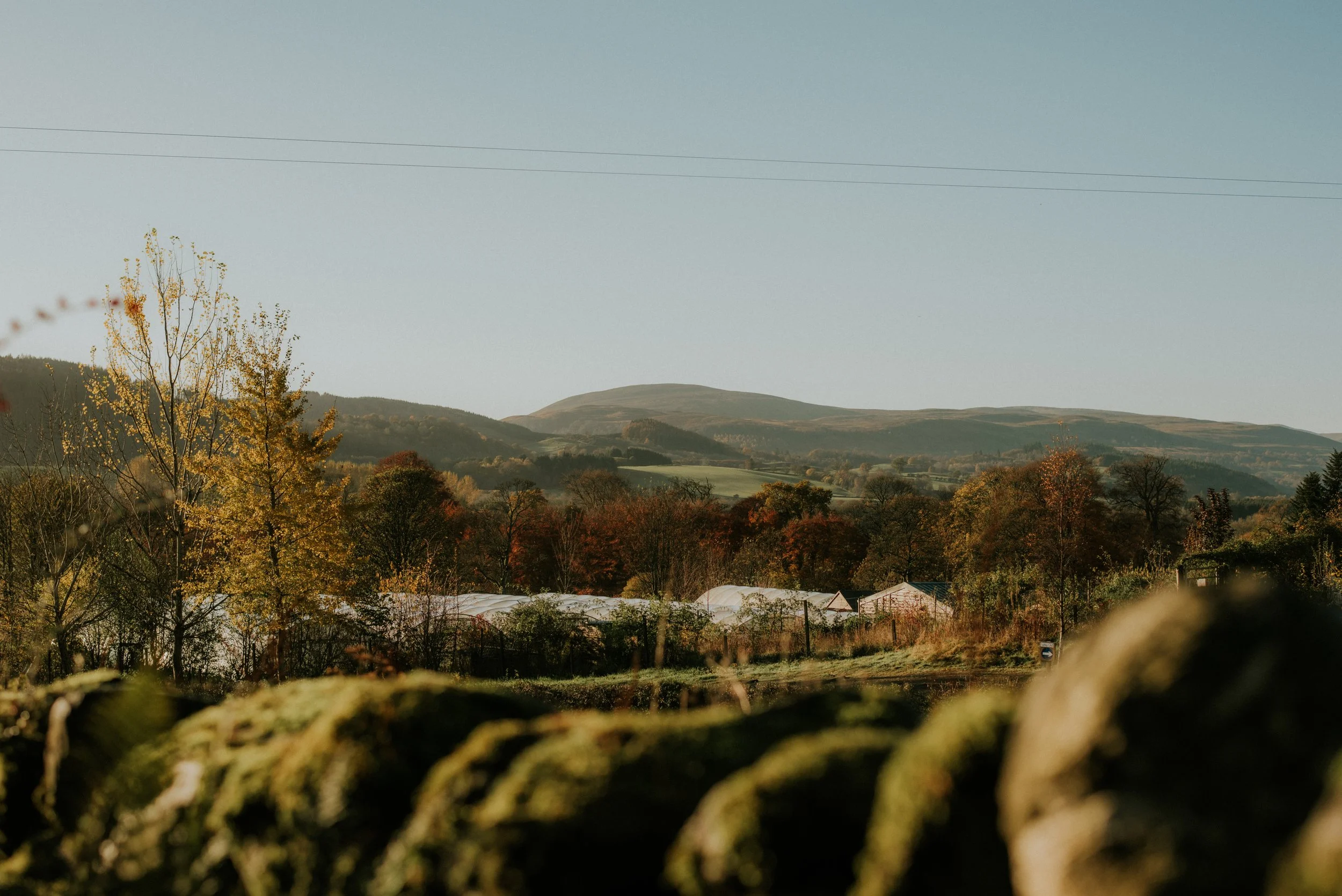 Comrie Croft | A Farm Reimagined for You and Nature